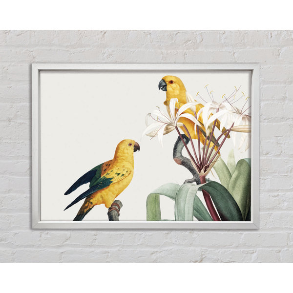 Bright Star Two Yellow Parrots - Single Picture Frame Print on Canvas ...