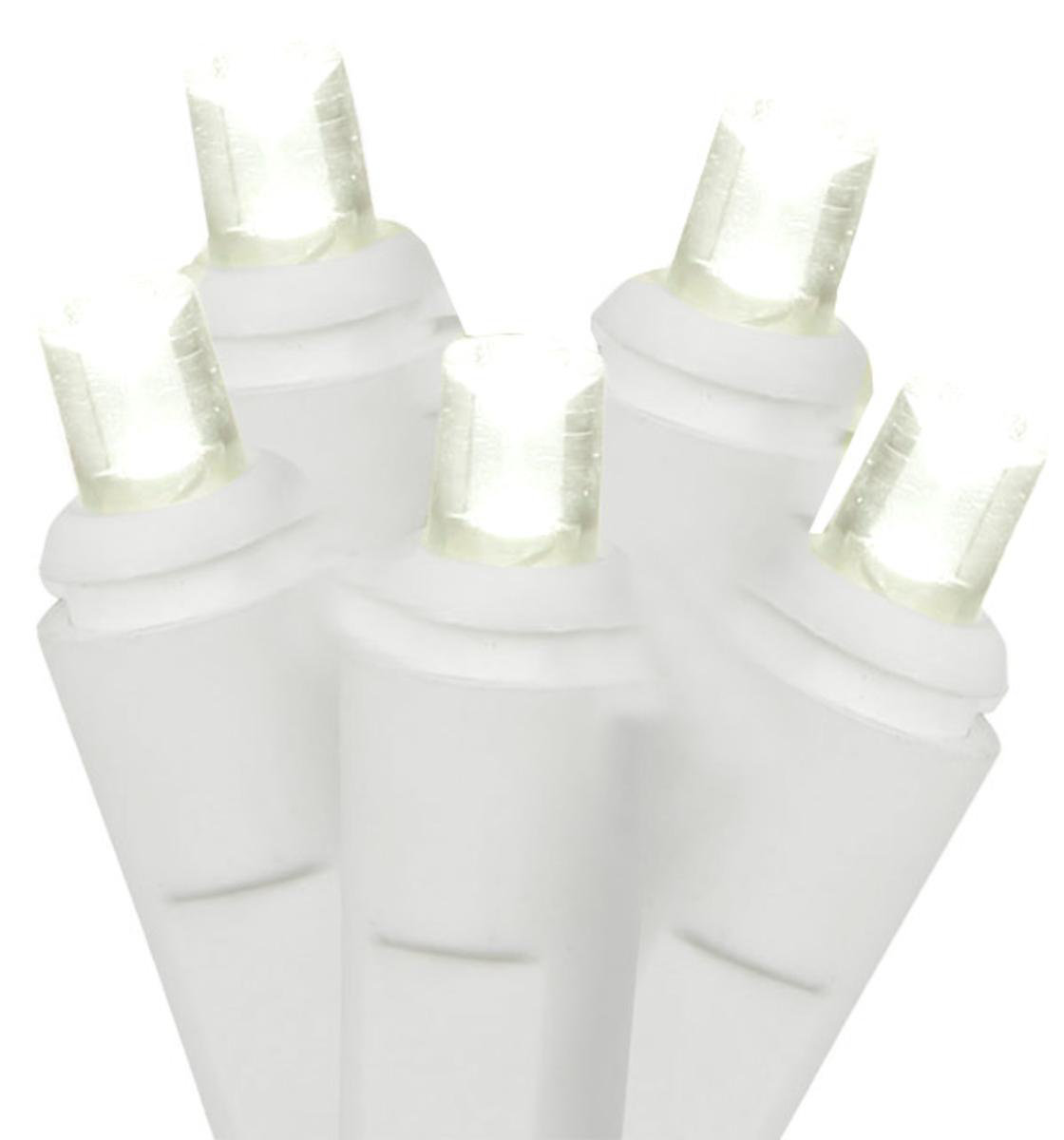 Northlight Seasonal 100 Warm White LED Wide Angle Mini Christmas Lights ...