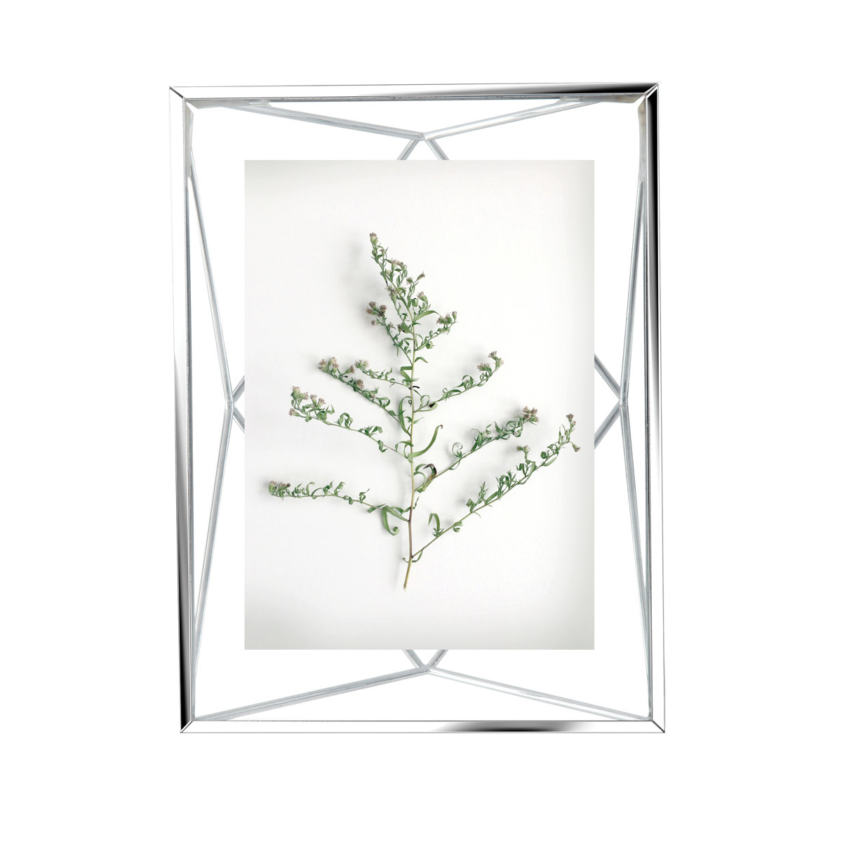 Wrought Studio Topawa Brass Wire Picture Frame & Reviews - Wayfair Canada