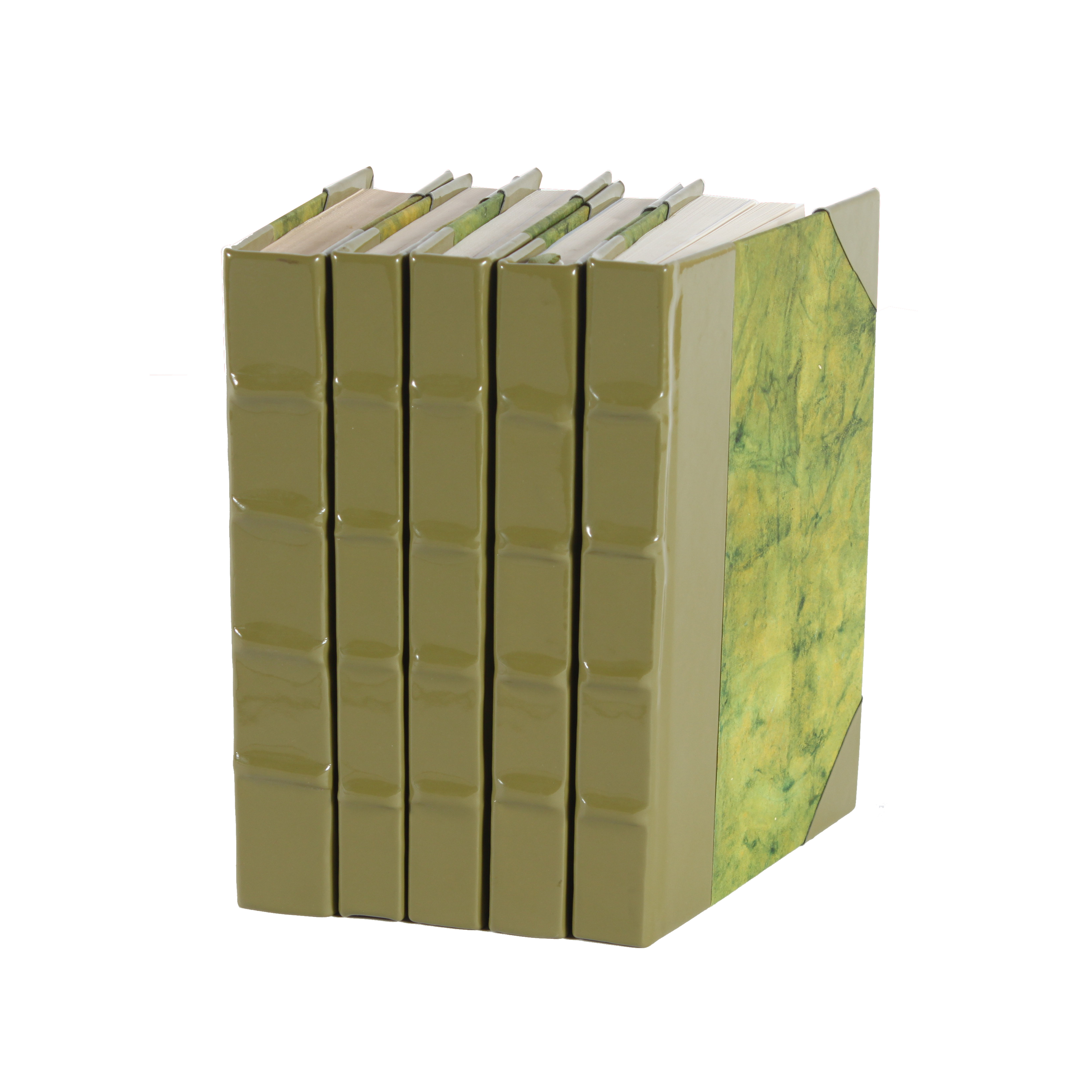 Leather Books 5 Piece Patent Leather Decorative Book Set - Wayfair Canada