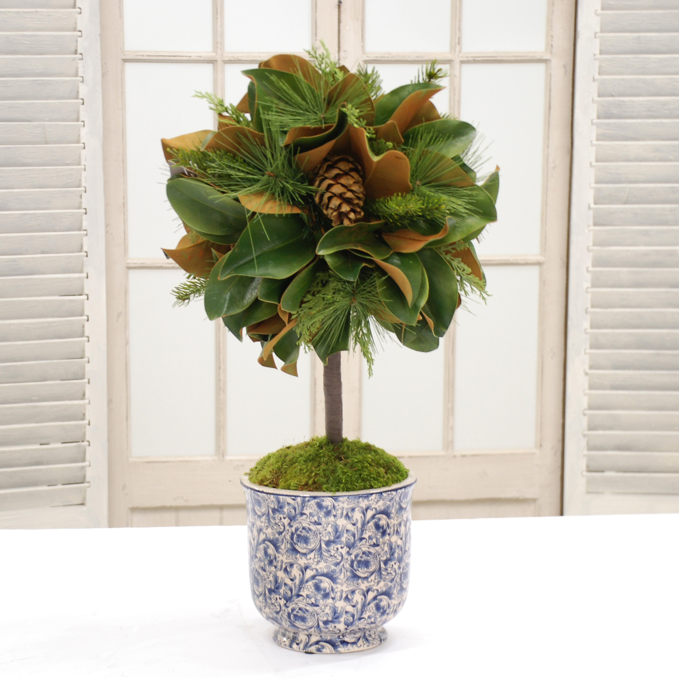 Red Barrel Studio® Magnolia Leaf Desktop Foliage Topiary in Vase | Wayfair