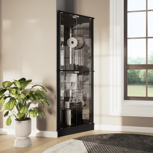 Black Display & China Cabinets You'll Love | Wayfair