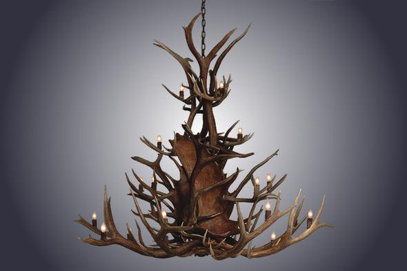 AntlerWorx Knowles 20 - Light Chandelier | Perigold