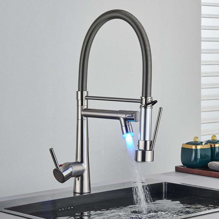 Belfry Kitchen Kitchen Faucet 360° Removable Sink Faucet with Shower ...