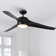 Ebern Designs 60" Black 3-Blade Propeller LED Ceiling Fan | Wayfair