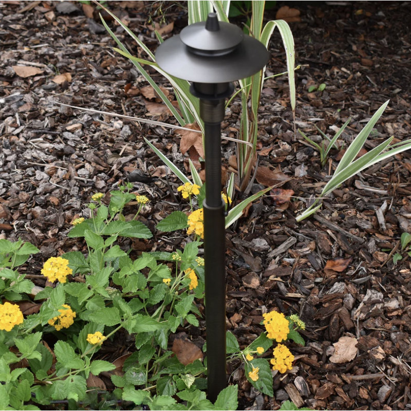 Cardon Lighting Natural Bronze Low Voltage Solid Cast Brass Pathway ...