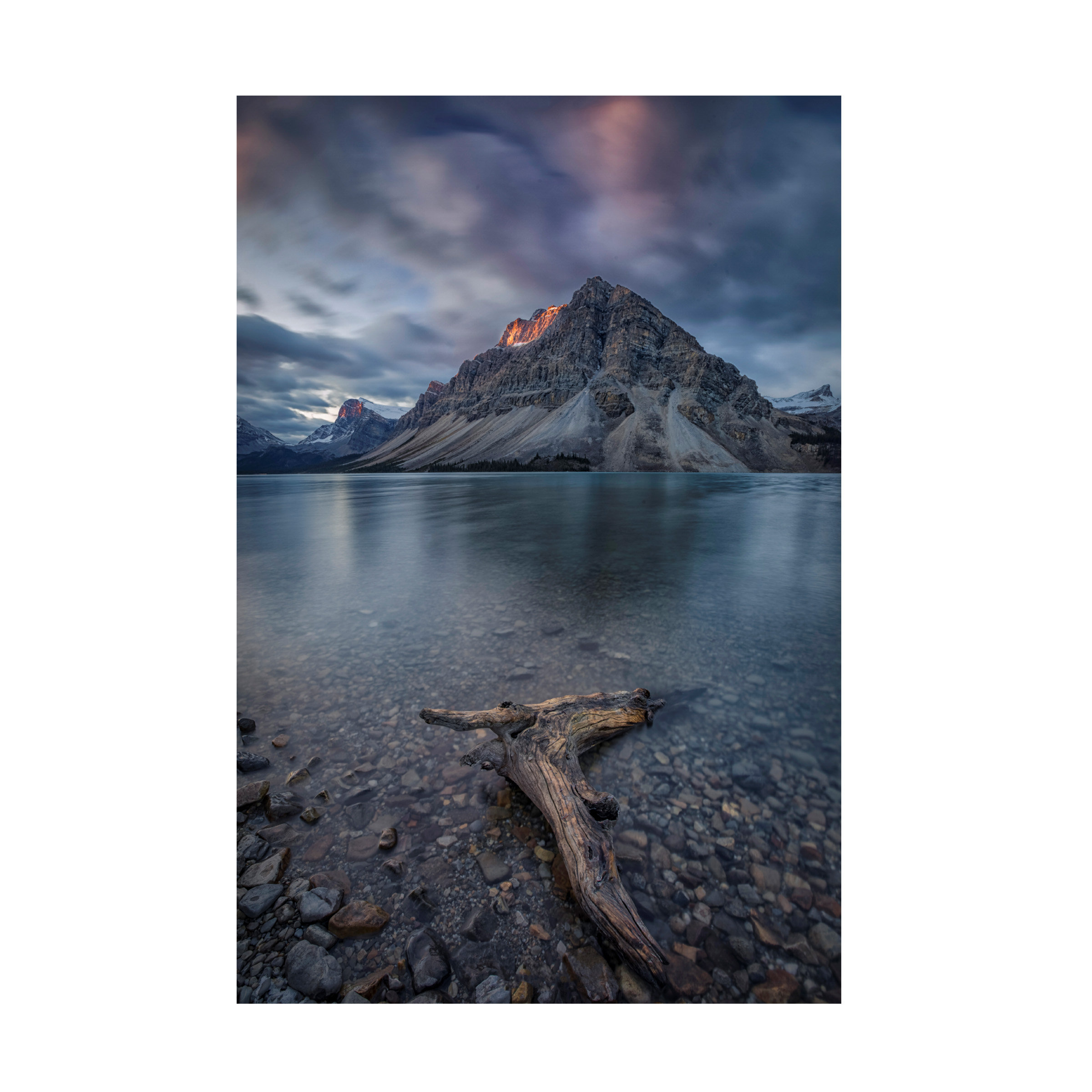 Millwood Pines A Cloudy Day in Bow Lake by Michael Zheng - Wrapped ...