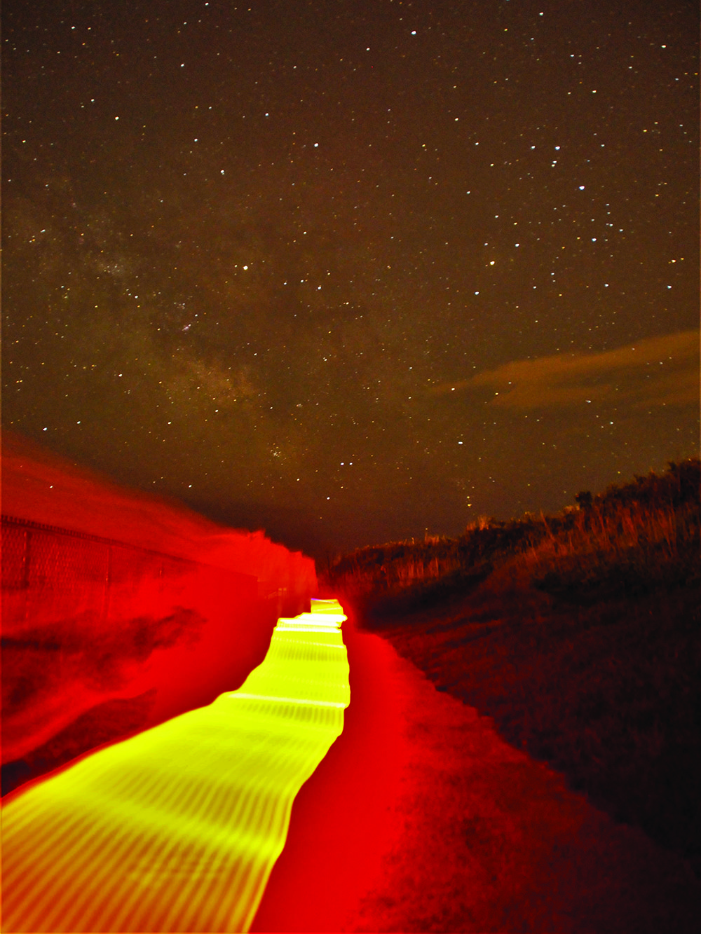 Buy Art For Less Painted Path by Joseph Elliot - Photograph Print ...