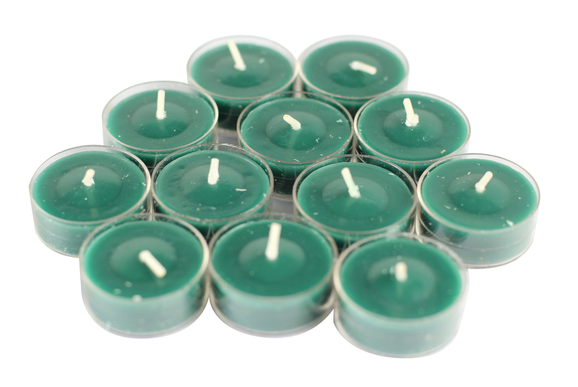 The Holiday Aisle® Fresh Forest Pine Scented Tealight Candle & Reviews ...