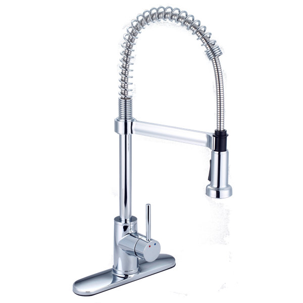 Banner Faucets Spring Style Kitchen Faucet & Reviews | Wayfair