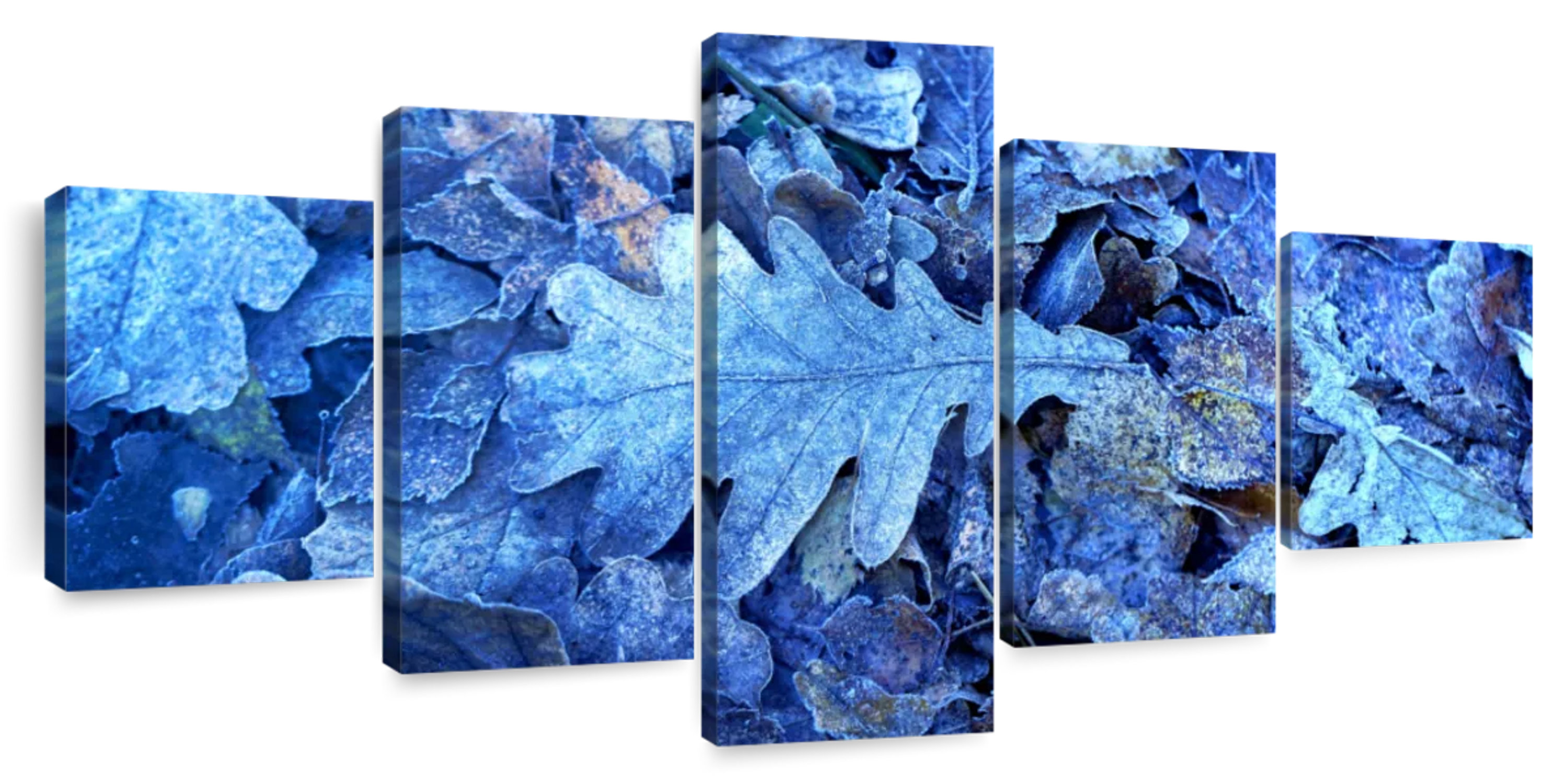 Ebern Designs Blue Autumn Leaves | Wayfair