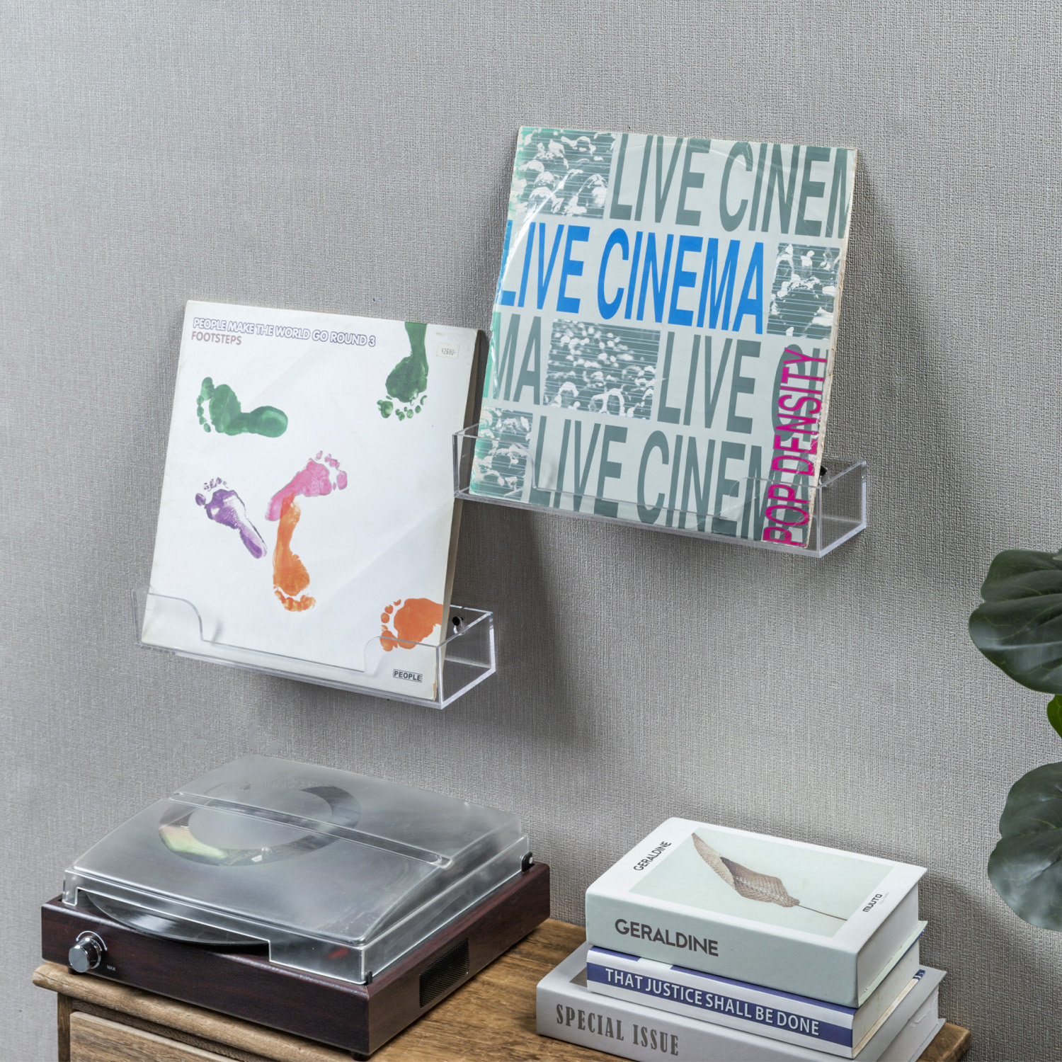 Inbox Zero Wall 2 Piece Clear Vinyl Record Storage Rack - Wayfair Canada