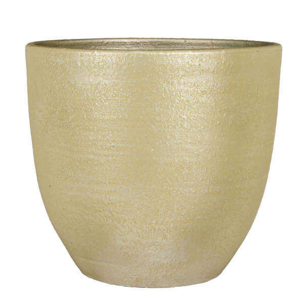 Mica Decorations Flower pot Carrie | Wayfair.co.uk