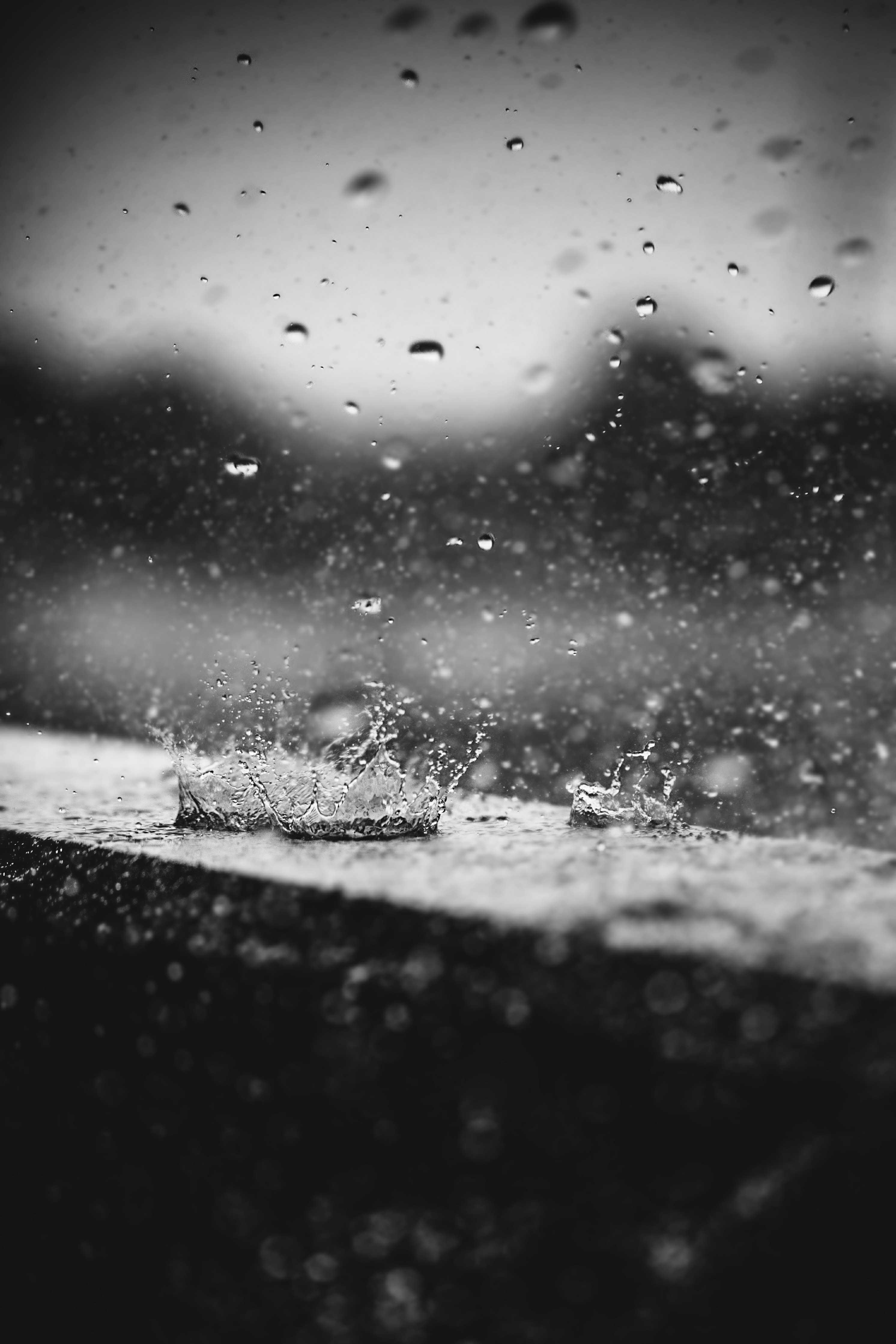 Ebern Designs Autumn Rain On Canvas by Va103 Print | Wayfair