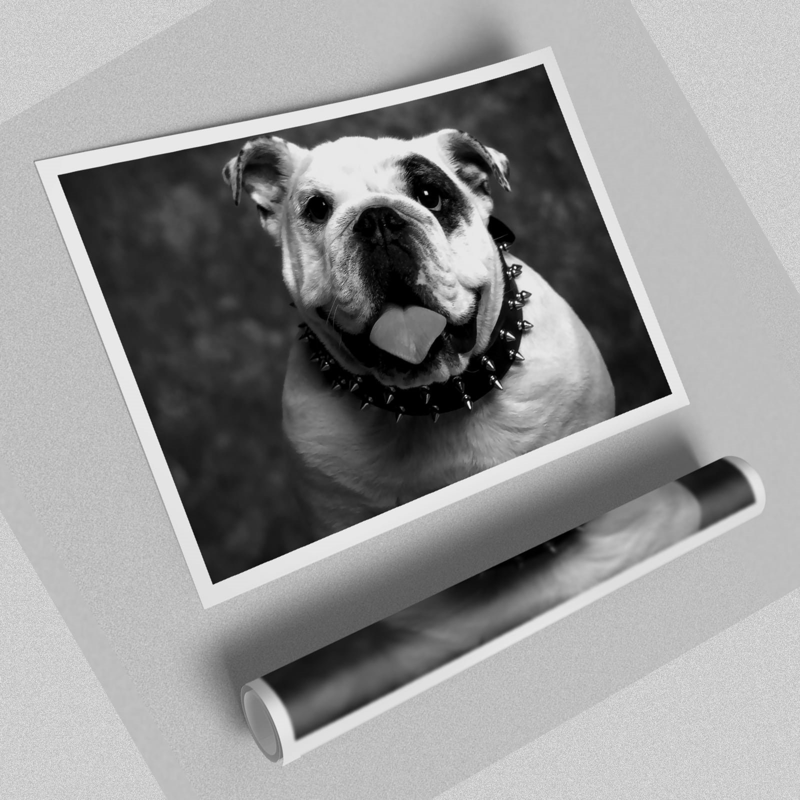 Ebern Designs English Bulldog - Single Picture Frame Art Prints ...