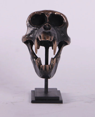 Trinx Jiten Monkey Macaque Skull Life Size Statue | Wayfair