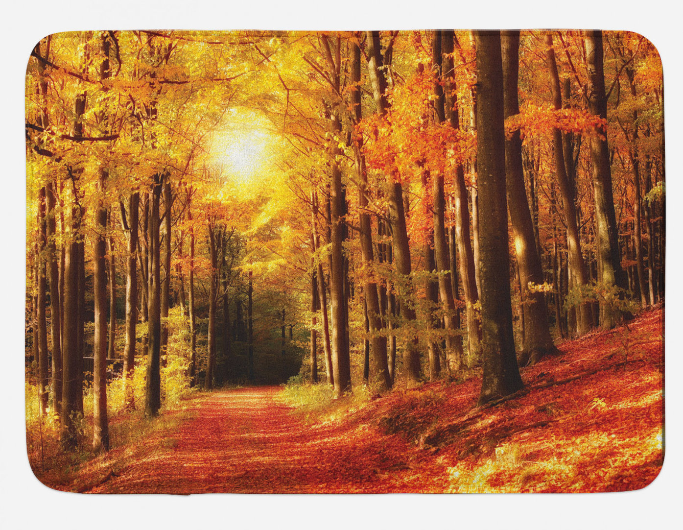 East Urban Home Vibrant Picture of Forest with Fall Trees At Sunset ...