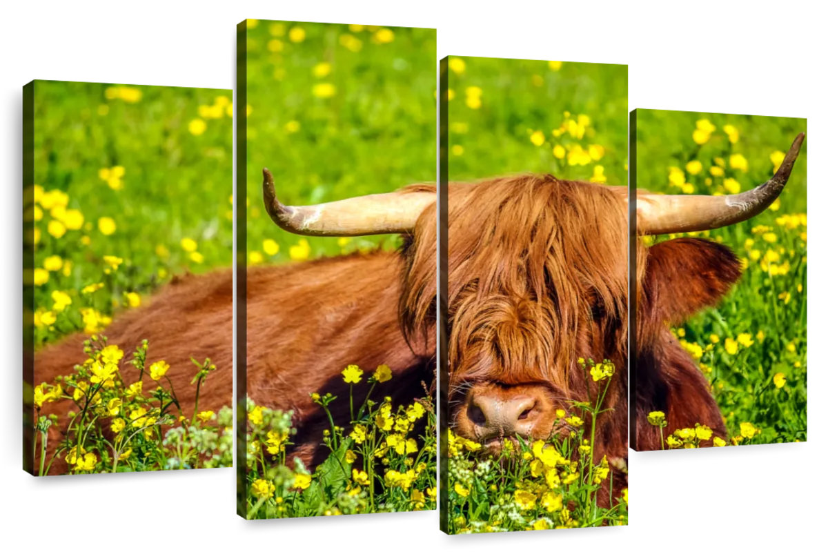 Ebern Designs Brampt Red Highland Cow | Wayfair