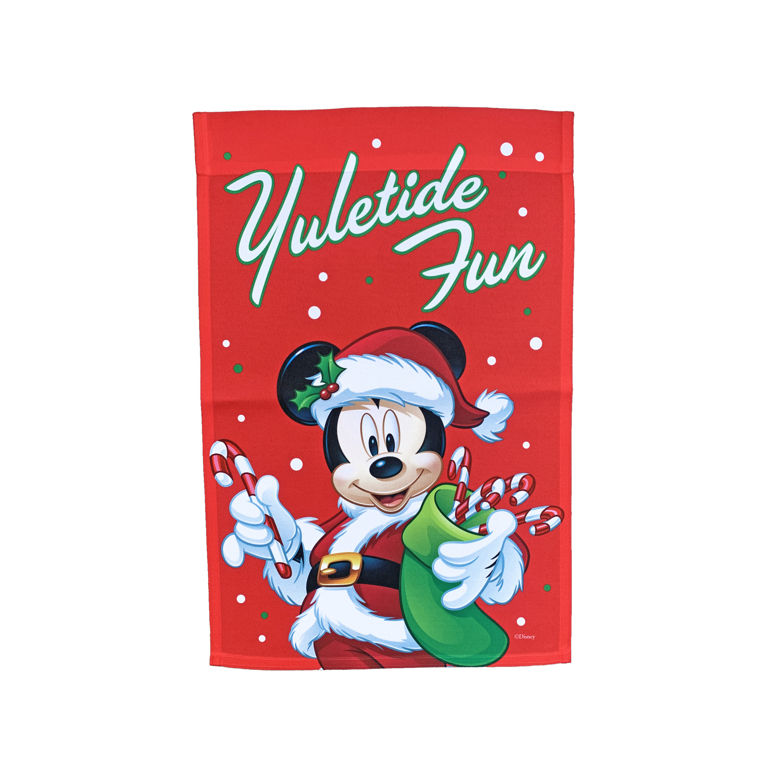 Back Yard Glory Mickey Yultide Fun - Wayfair Canada