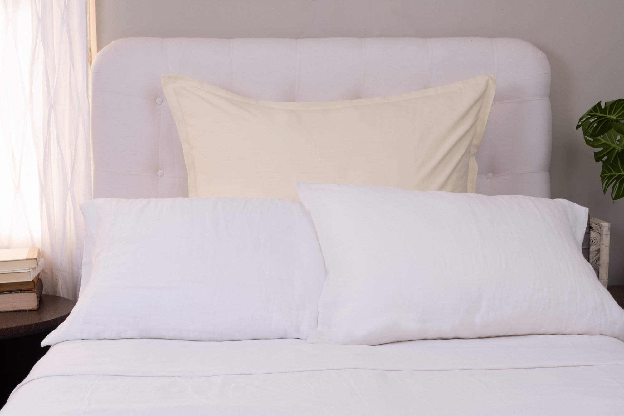 Amity Home Pure Solid Color Sham | Wayfair