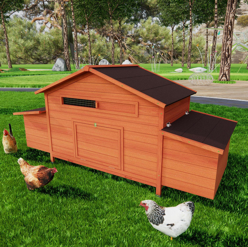 Archie & Oscar™ Large Wooden Chicken Coop Outdoor Hen House Poultry ...