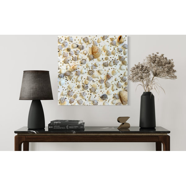 Red Barrel Studio® 3D Seashells Wall Art | Wayfair