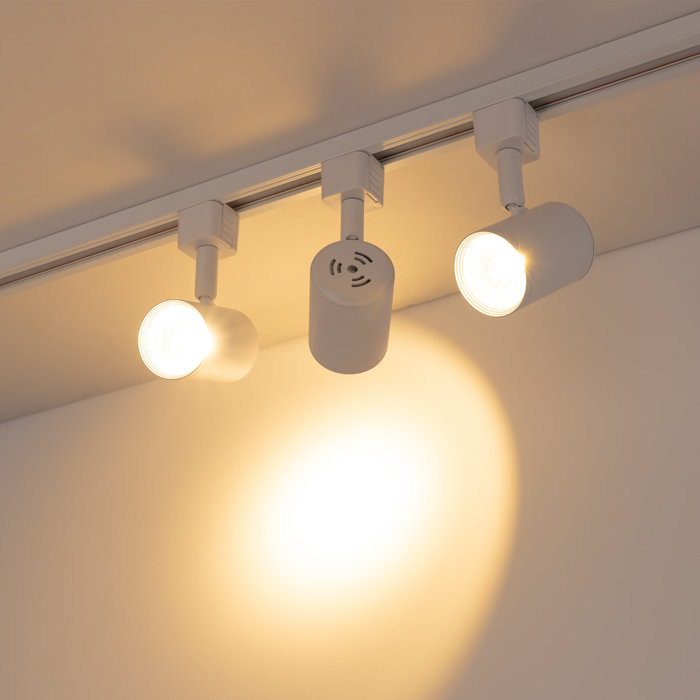 wohoda LED Track Lighting Head Compatible with J Type Track & Reviews ...
