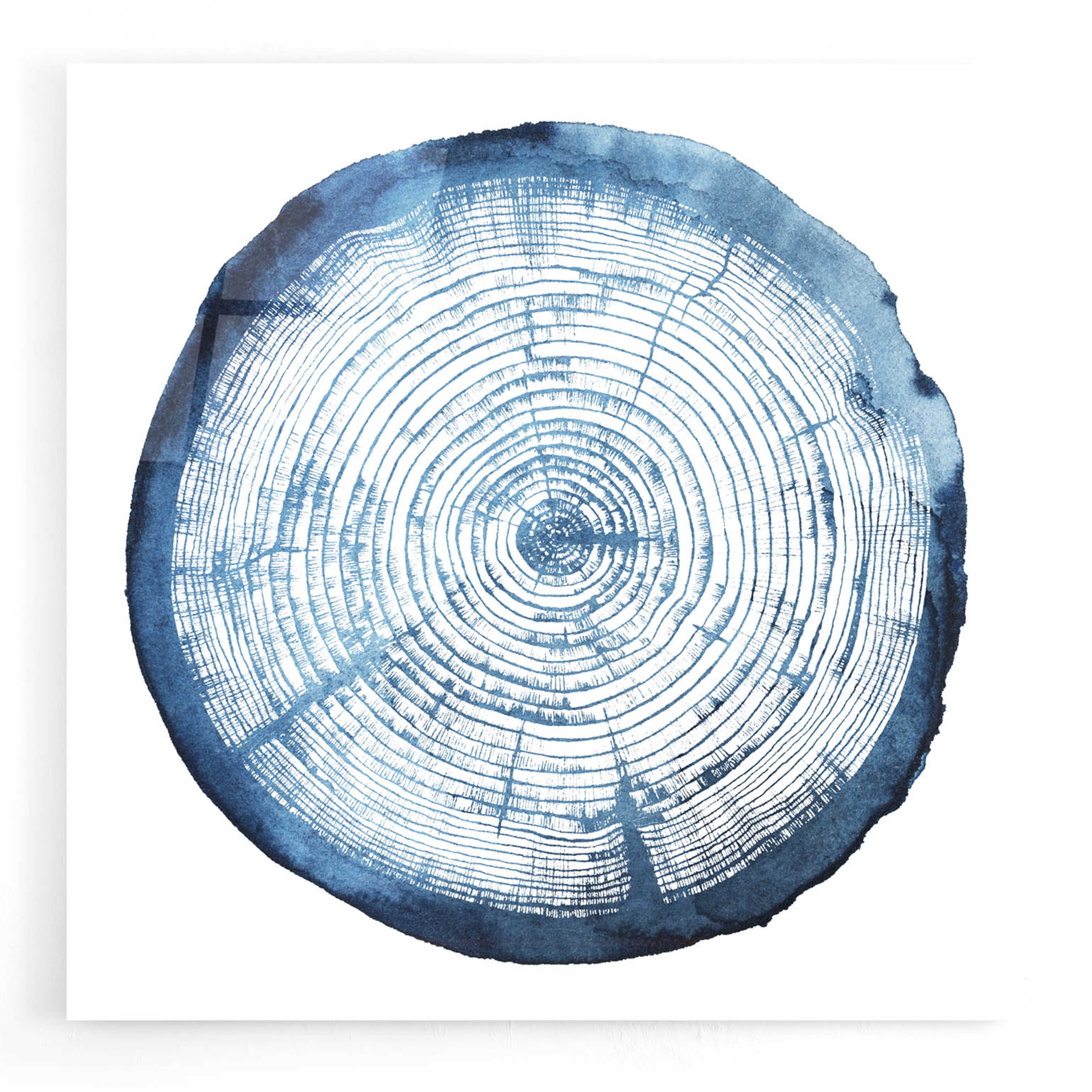 Millwood Pines Tree Ring Overlay I Tree Ring Overlay I by Grace Popp ...