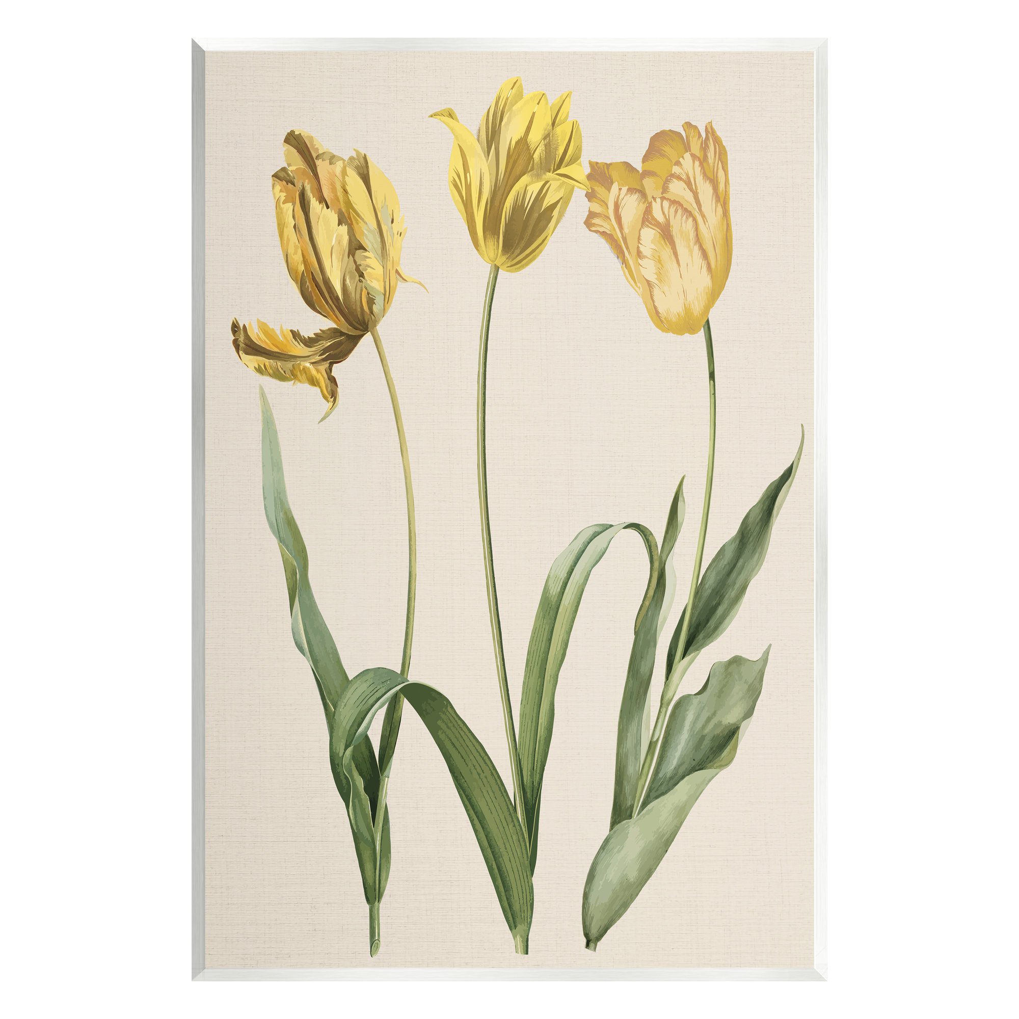 Stupell Industries Bb-305-Wood Three Tulip Sprigs On MDF by Lil' Rue ...
