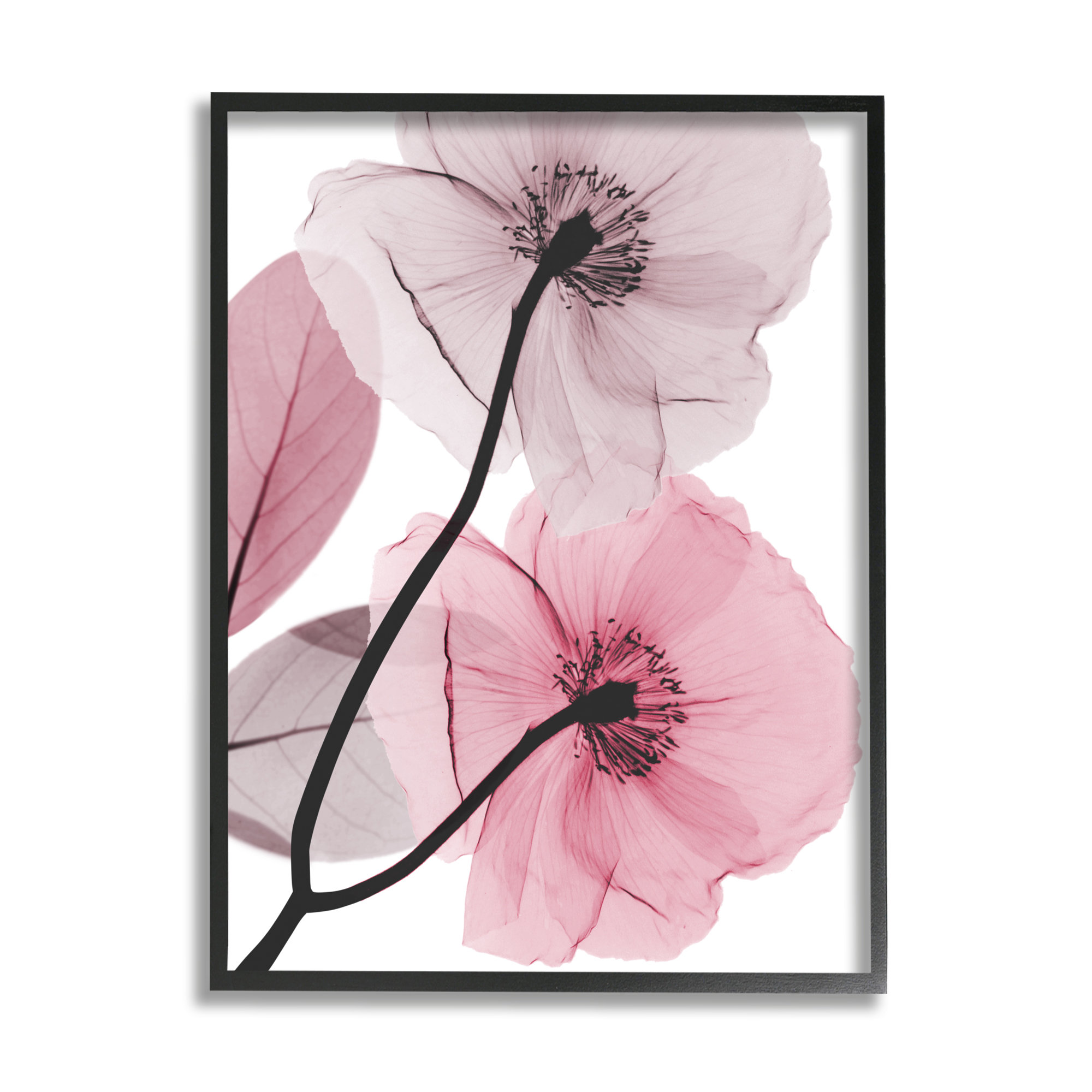 Stupell Industries Contemporary Pink Poppies Canvas Wall Art Design by ...