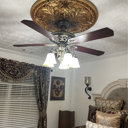 FINXIN 52'' Ceiling Fan with Light Kit & Reviews | Wayfair