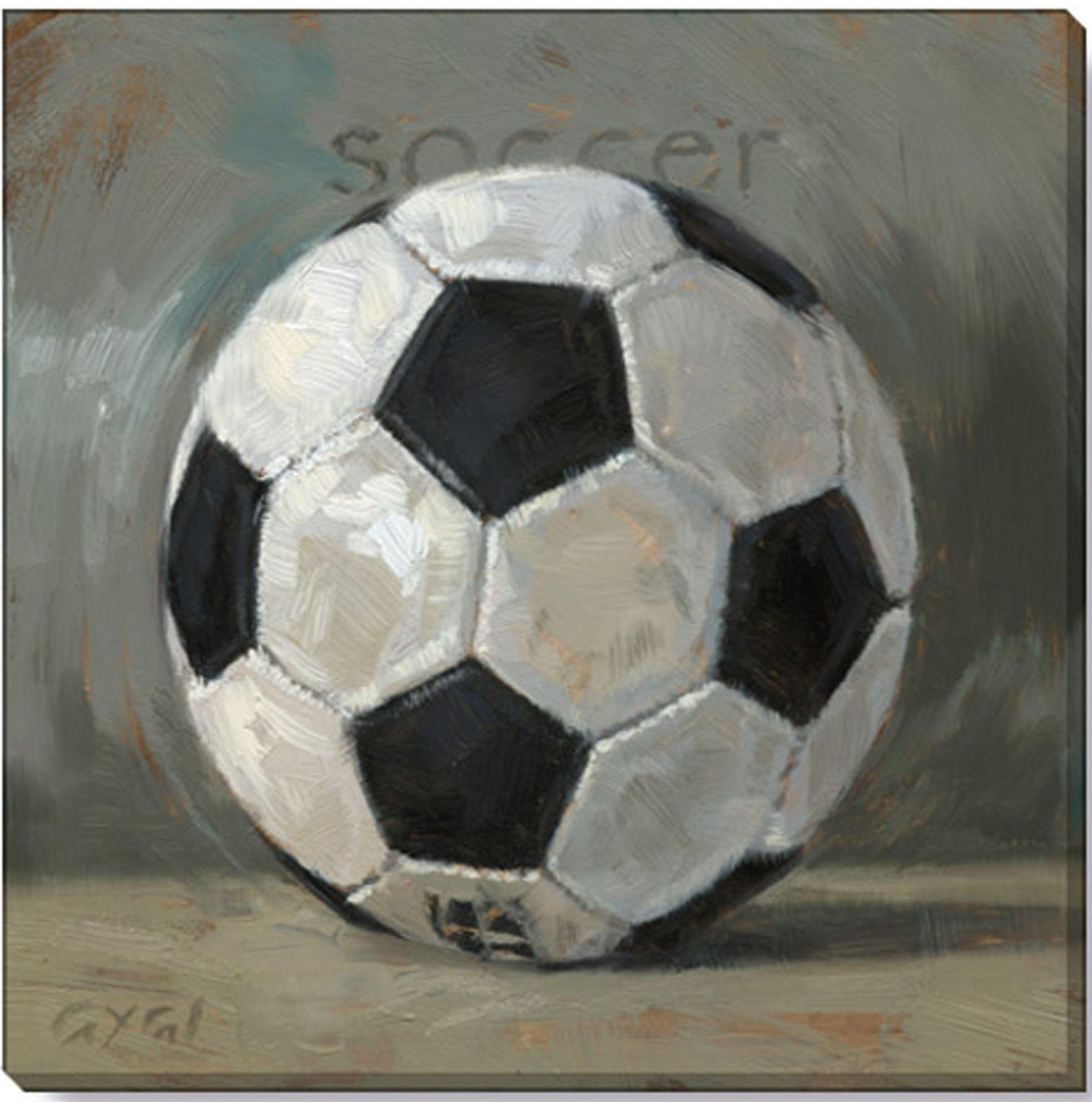 Darren Gygi Home Collection Soccer Ball Giclee Wall Art | Wayfair