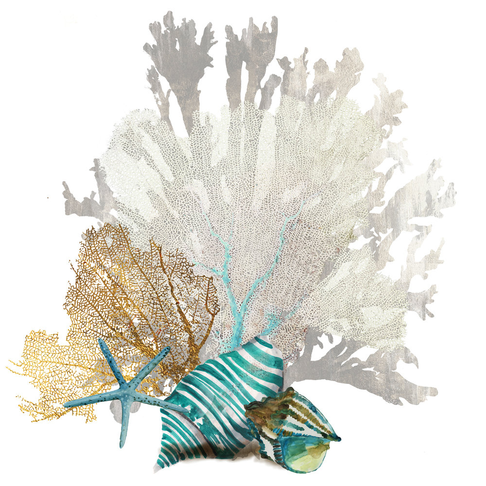 Clicart 'Coral' by Aimee Wilson - Wrapped Canvas Print | Wayfair
