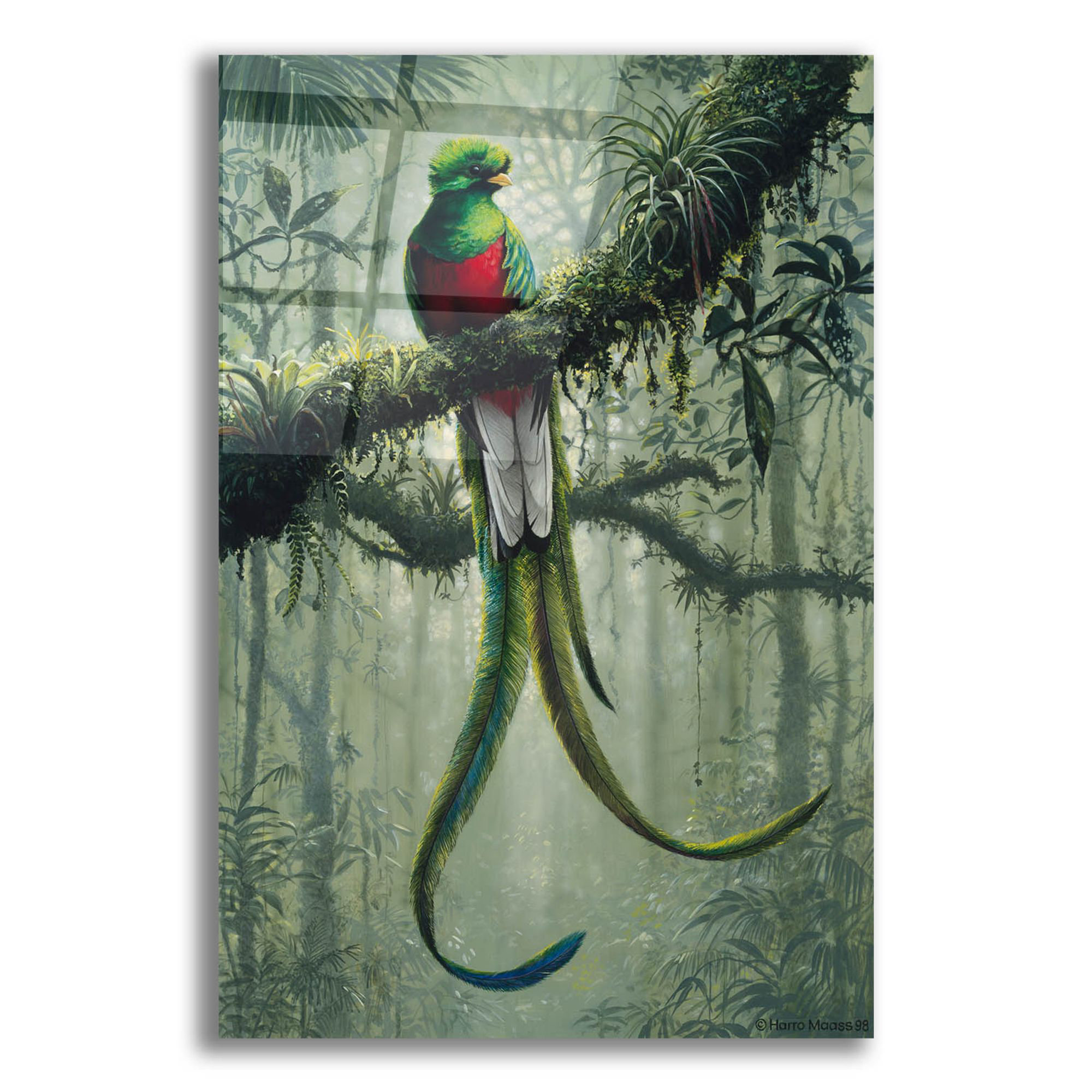 Bay Isle Home™ 'Resplendent Quetzal 2' By Harro Maass, Acrylic Glass ...