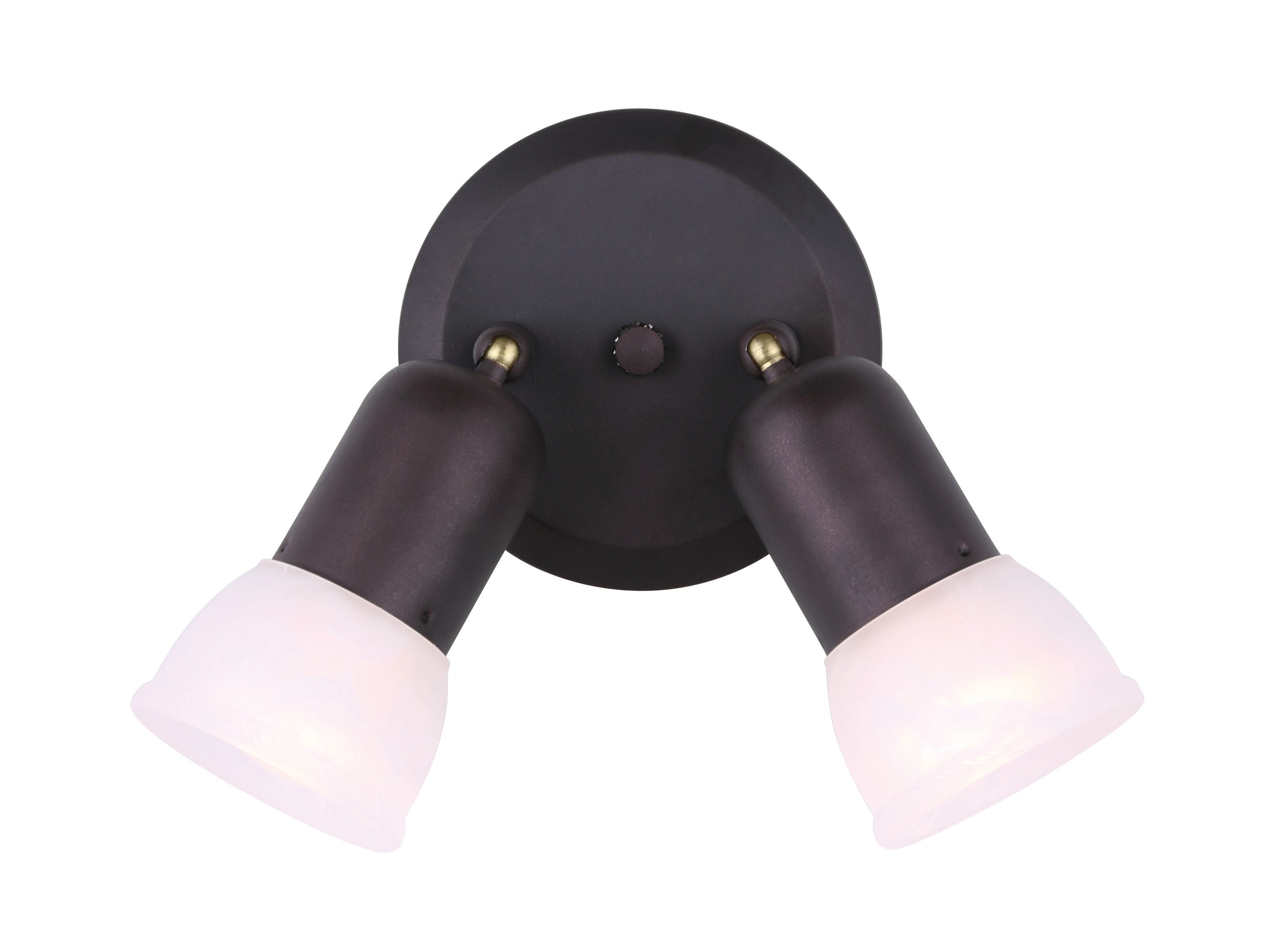 Wrought Studio Raftery 2 - Light Directional & Spotlight & Reviews ...