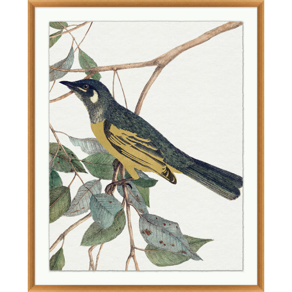 Wendover Art Group Lillian August Glistening Bird 2 Framed On Paper by ...