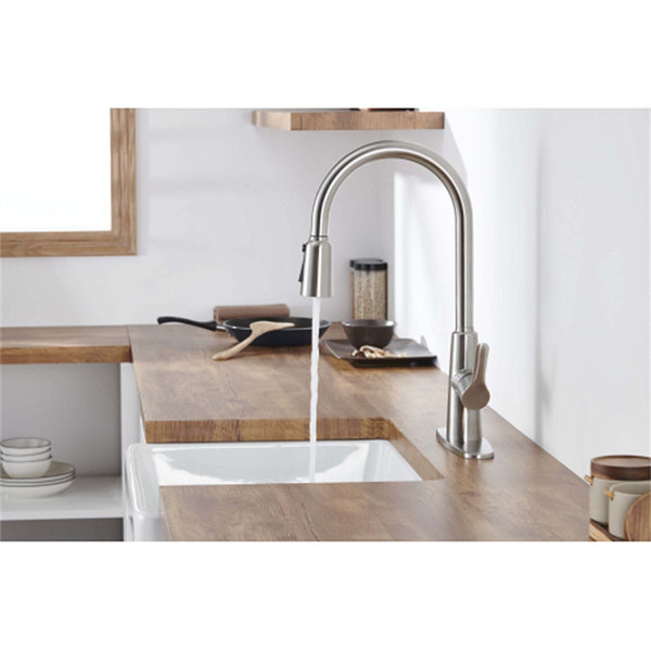 Red Cloud Pull Out Kitchen Faucet - Wayfair Canada