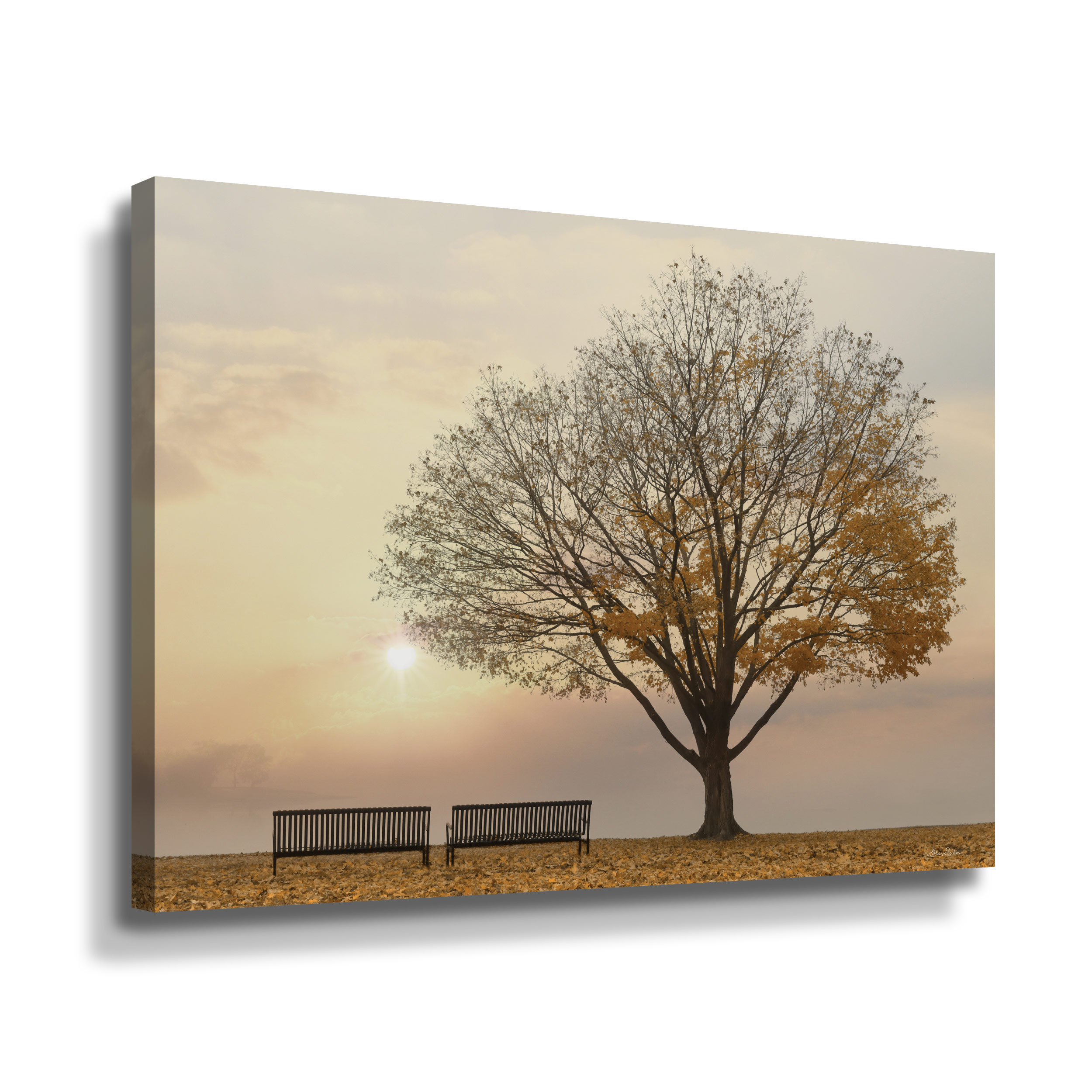 Ebern Designs Golden Riverfront Sunrise Gallery Wrapped - Wayfair Canada