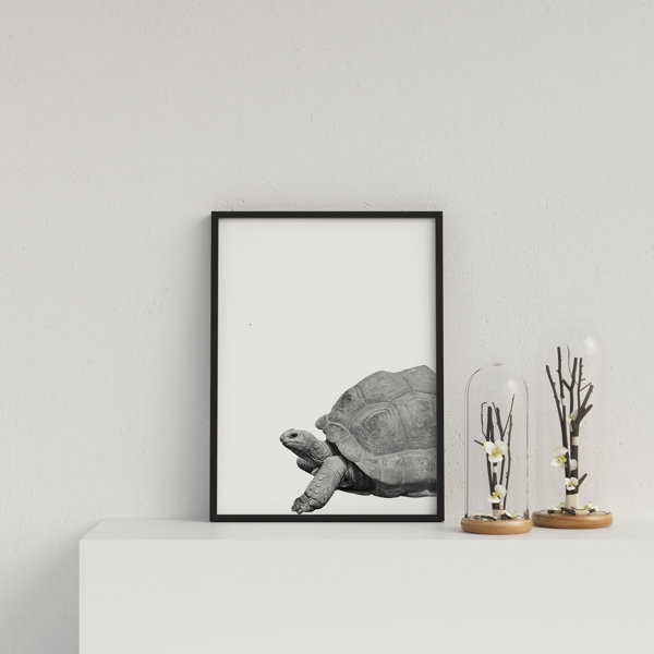 Bay Isle Home Giant Tortoise On White Background by Vouvart - Single ...