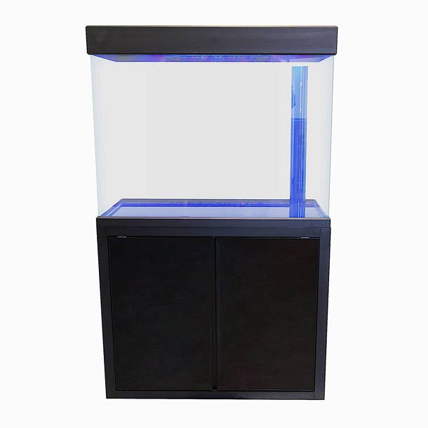 AQUA DREAM 394 Gallon Rectangle Aquarium Tank | Wayfair