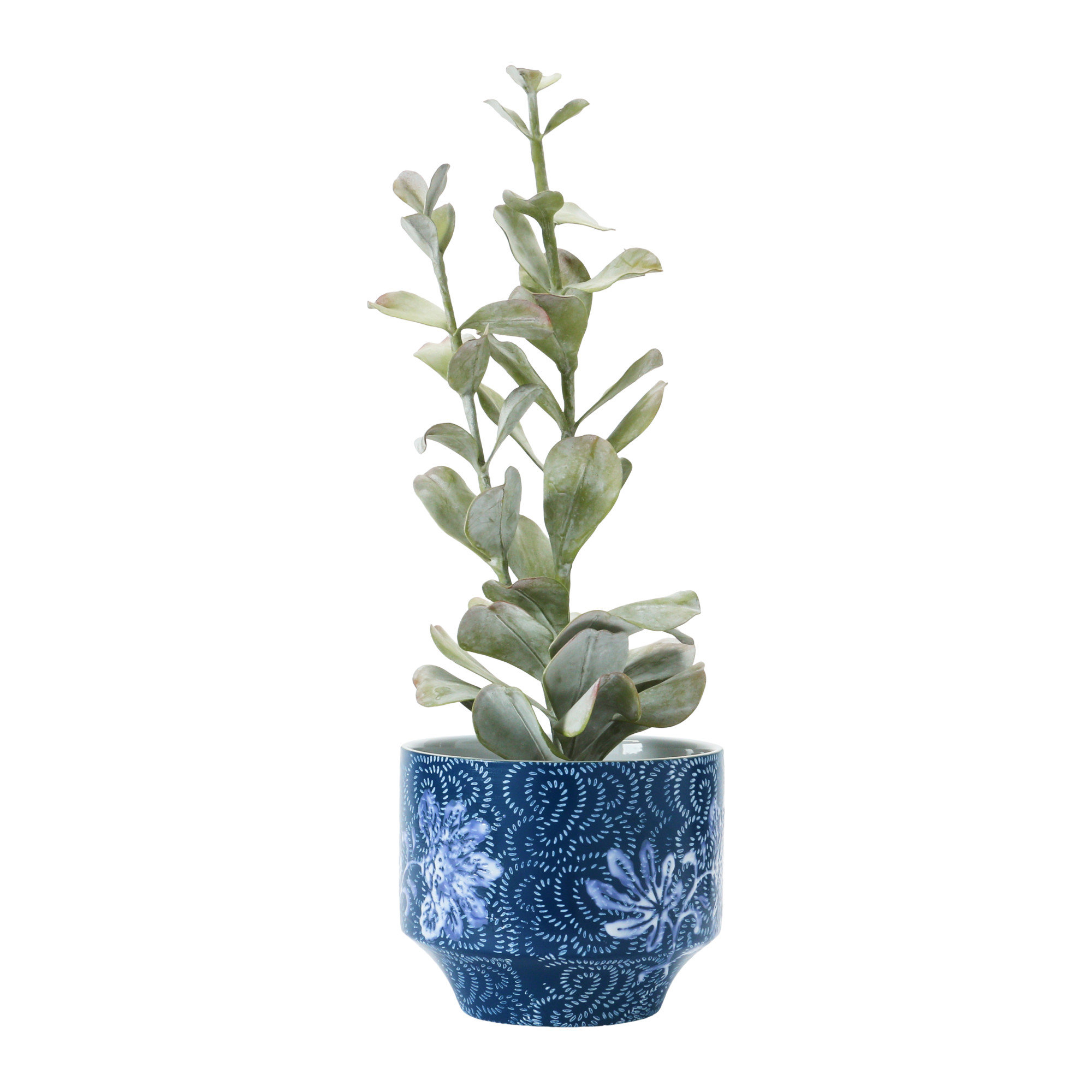Dakota Fields Penthia Ceramic Planter Box & Reviews - Wayfair Canada