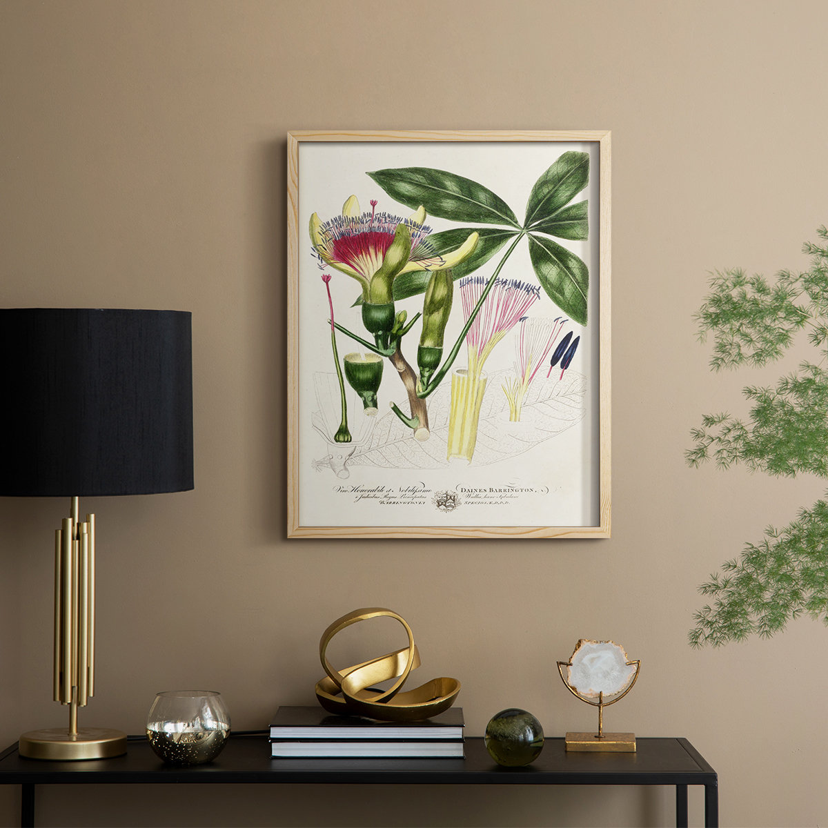 Lark Manor™ Imperial Tropical Botanical II Framed Print - Solid Wood ...
