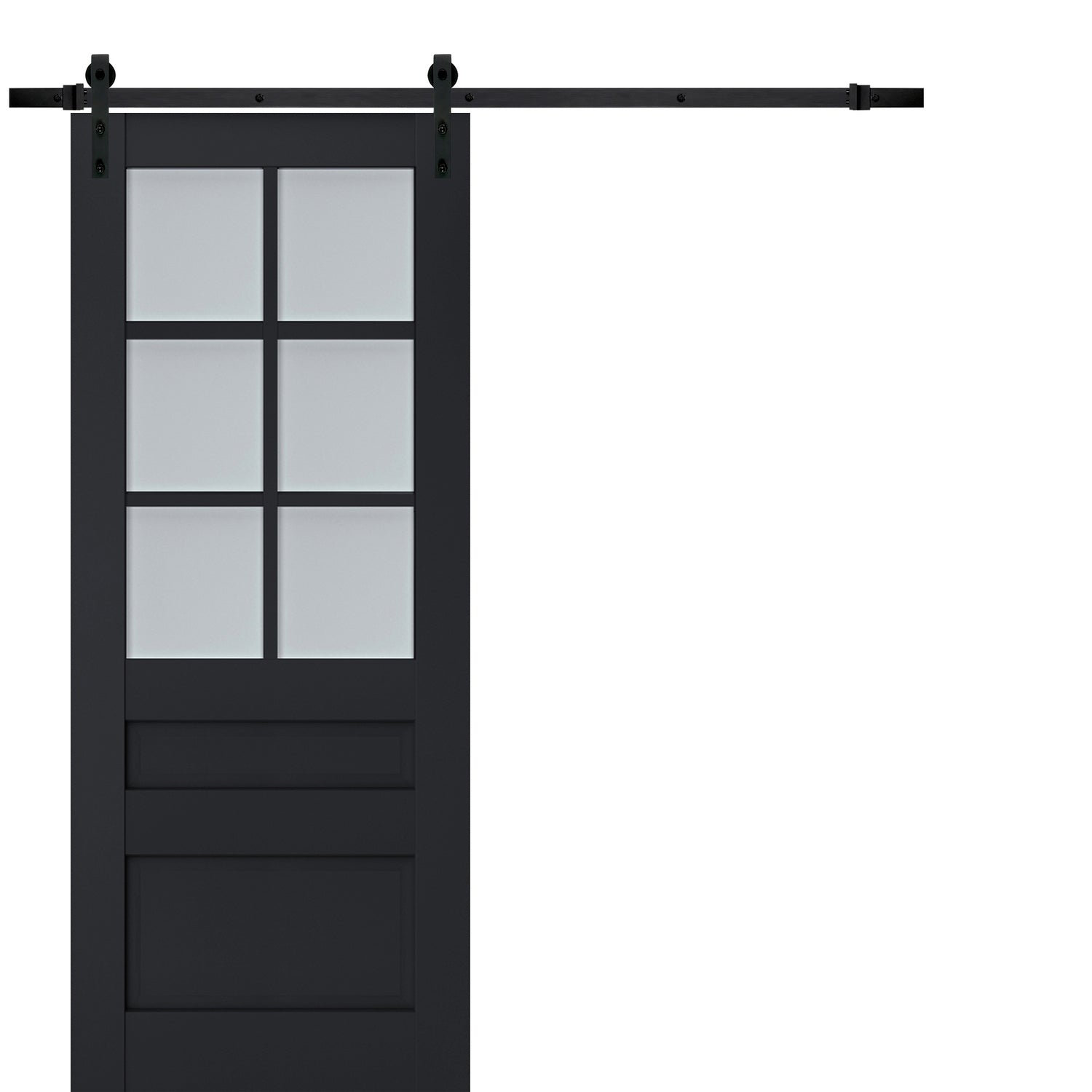 SARTODOORS Veregio Frosted Glass Paneled Wood Barn Door | Wayfair