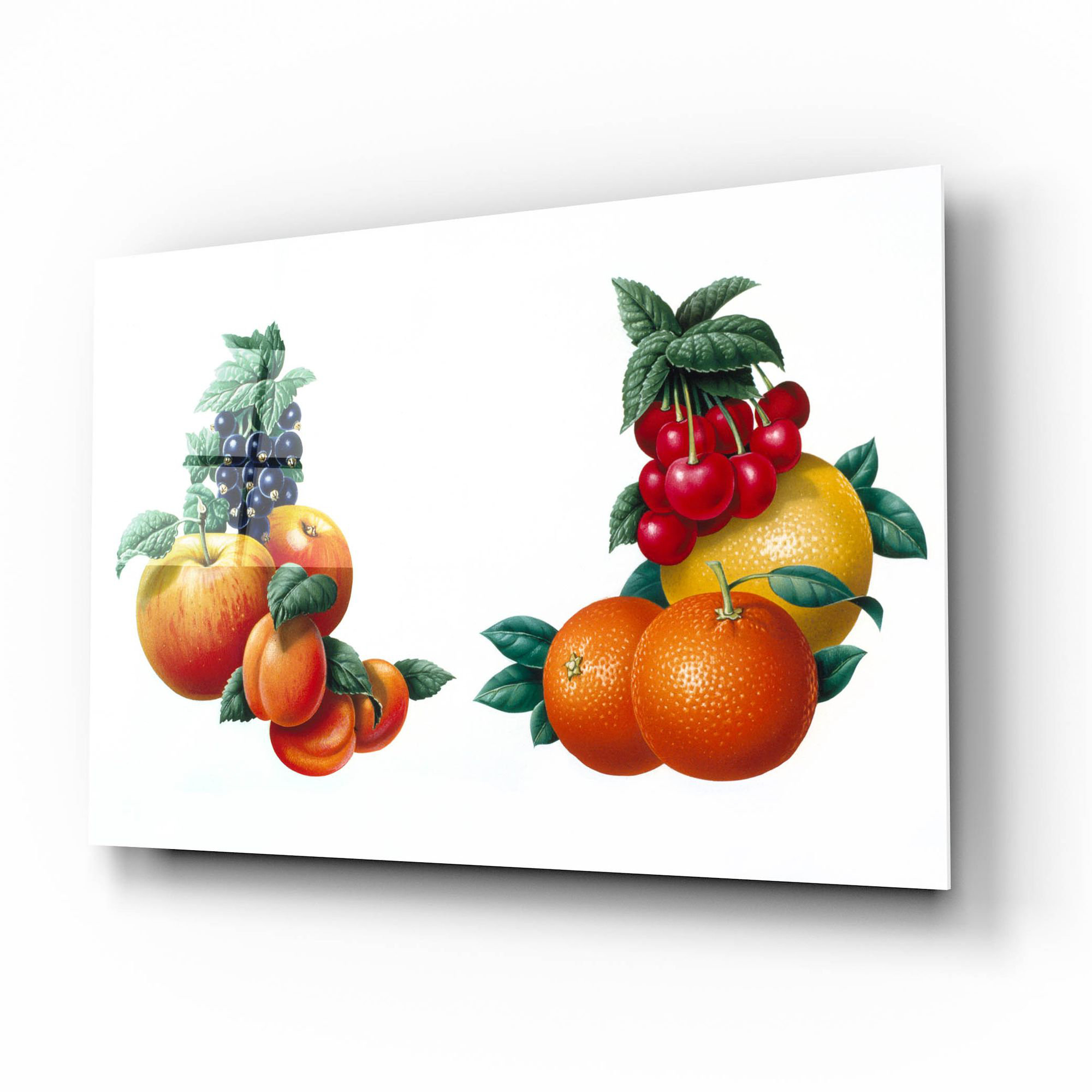 Red Barrel Studio® Latitude Run® 'Fruit 3' By Harro Maass, Acrylic ...