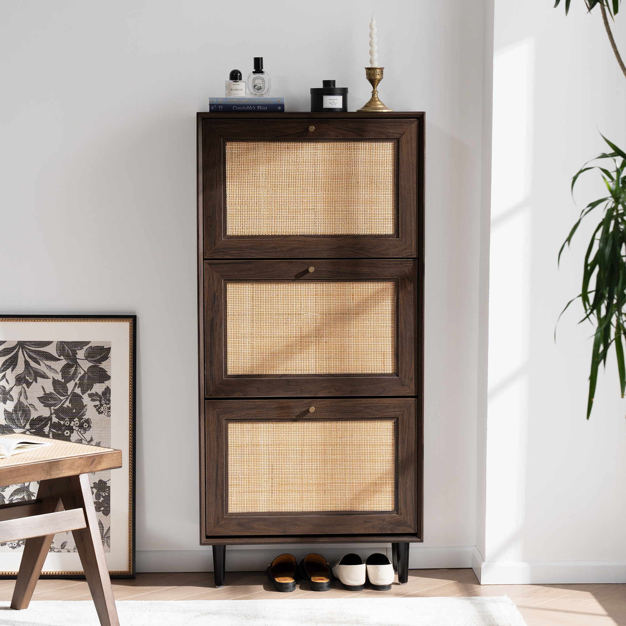 Rebrilliant 18 Pair Solid Wood Shoe Storage Cabinet | Wayfair