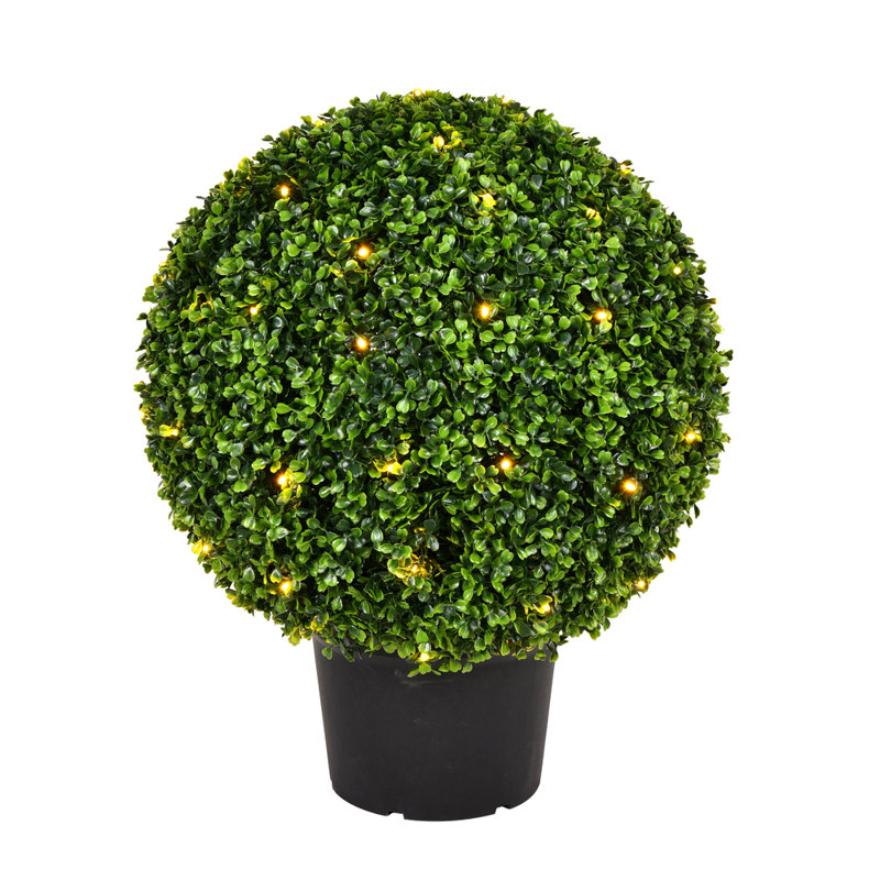 Primrue 20'' Faux Boxwood Topiary in Pot | Wayfair