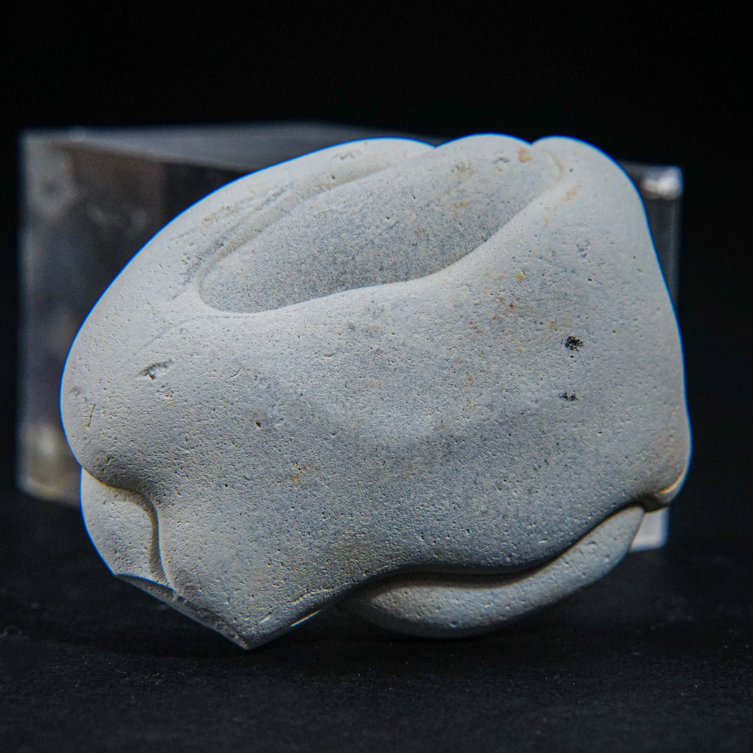 Sandstone Concretion