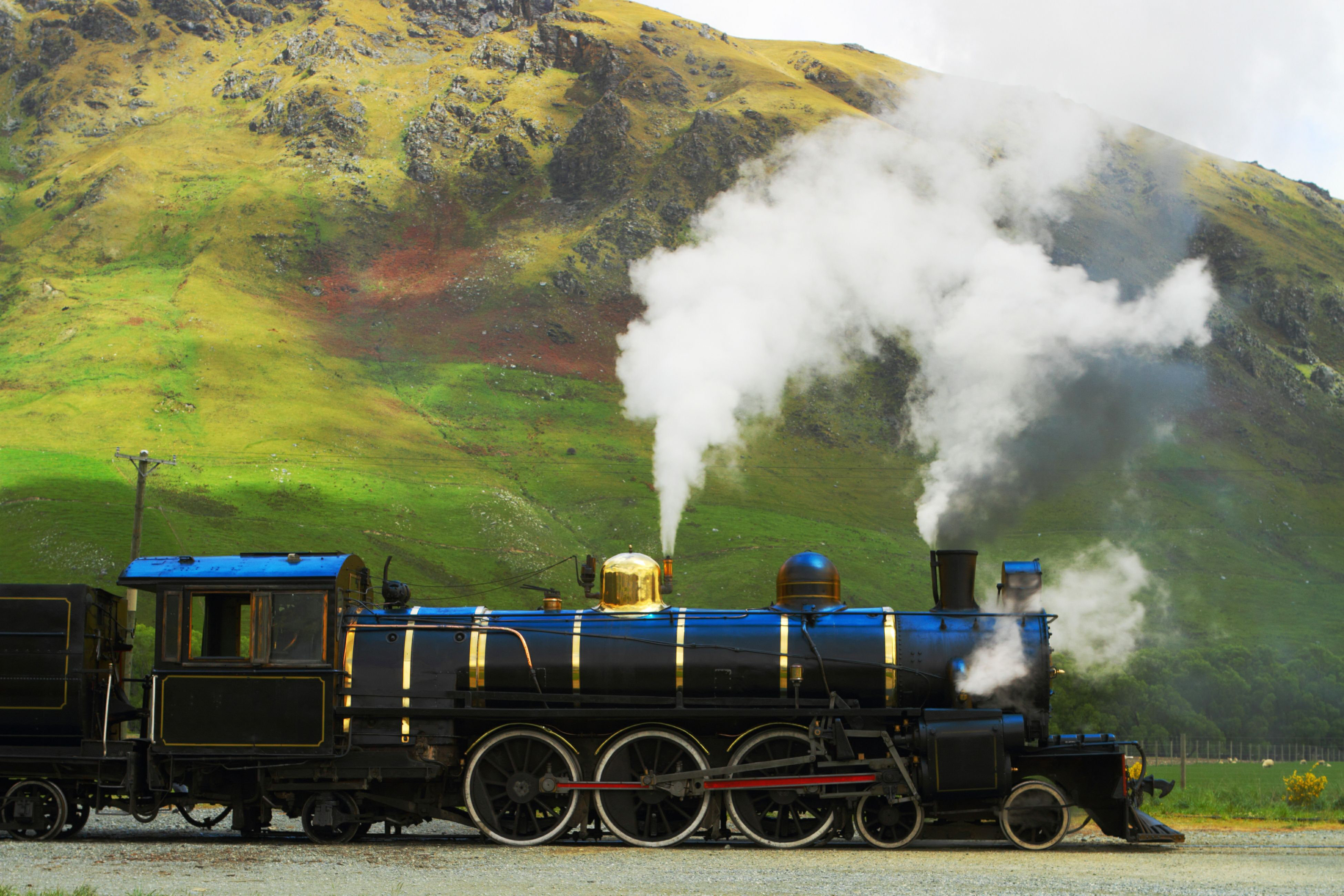 Millwood Pines Steam Train by - Wrapped Canvas Photograph - Wayfair Canada
