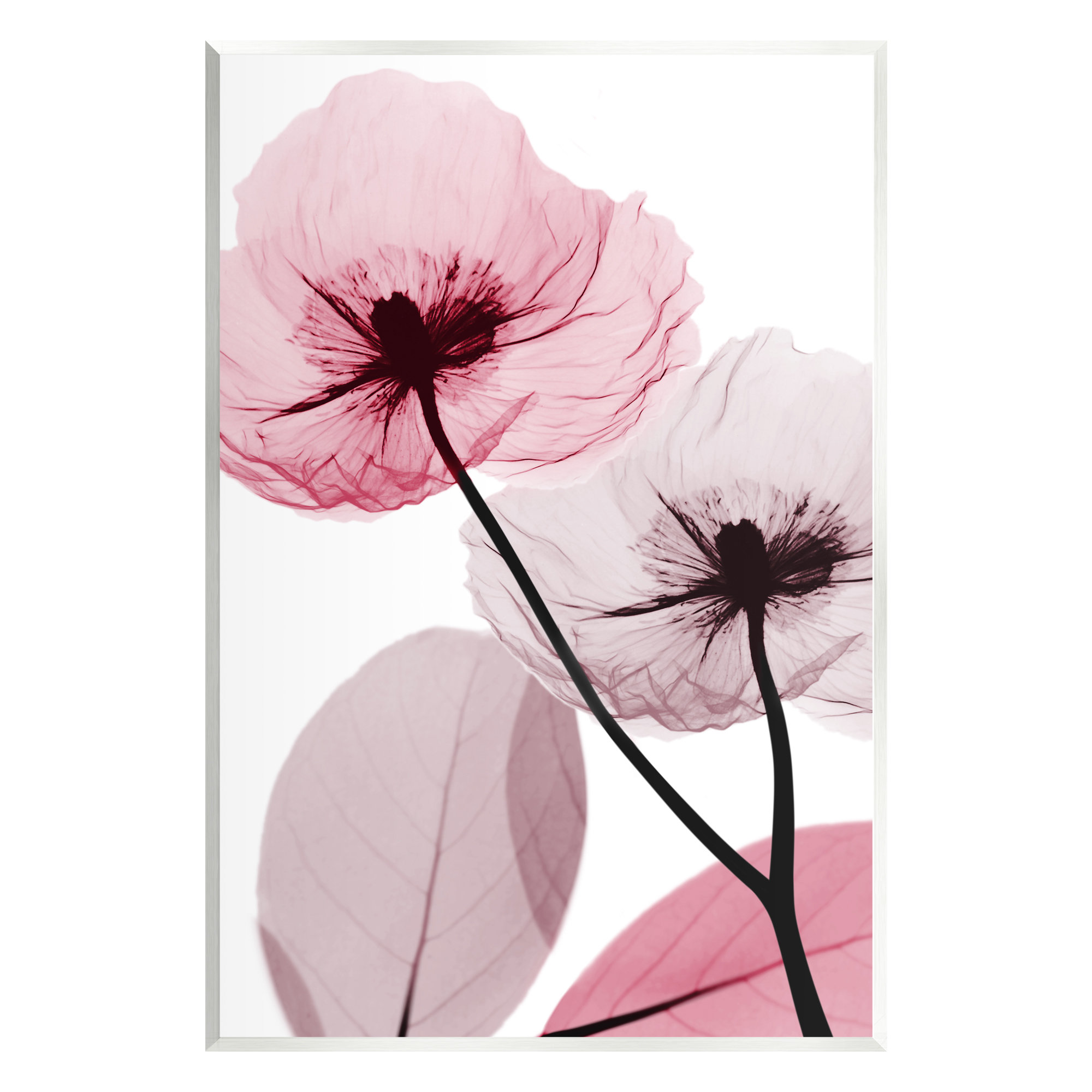 Stupell Industries Aw-999-Framed Pink Poppy Flowers by Albert Koetsier ...