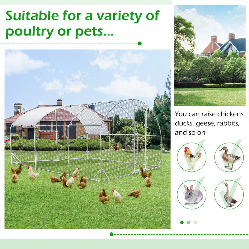 Tucker Murphy Pet™ Dervon 195 Square Feet Walk In Chicken Run For Up To ...